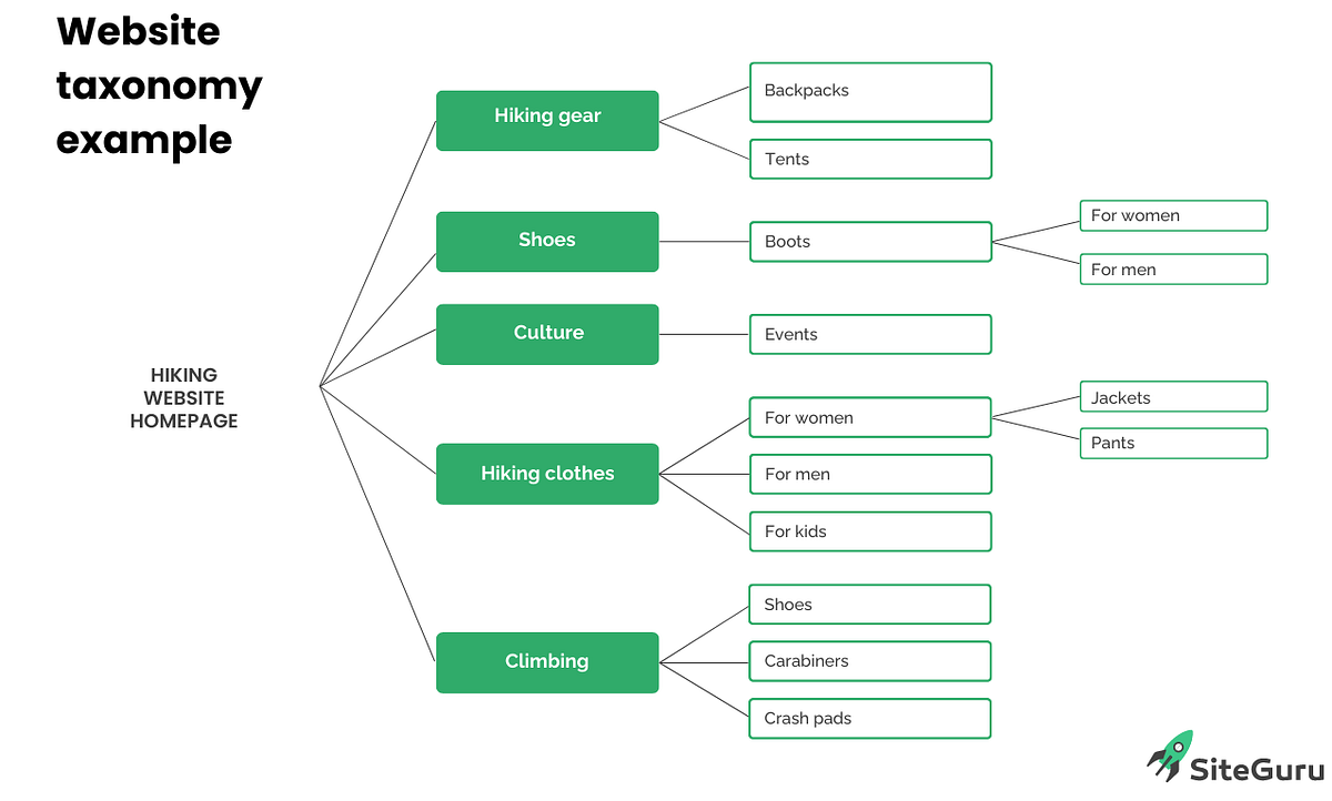 Website Taxonomy | by Natalie Brooks | Aug, 2024 | Medium