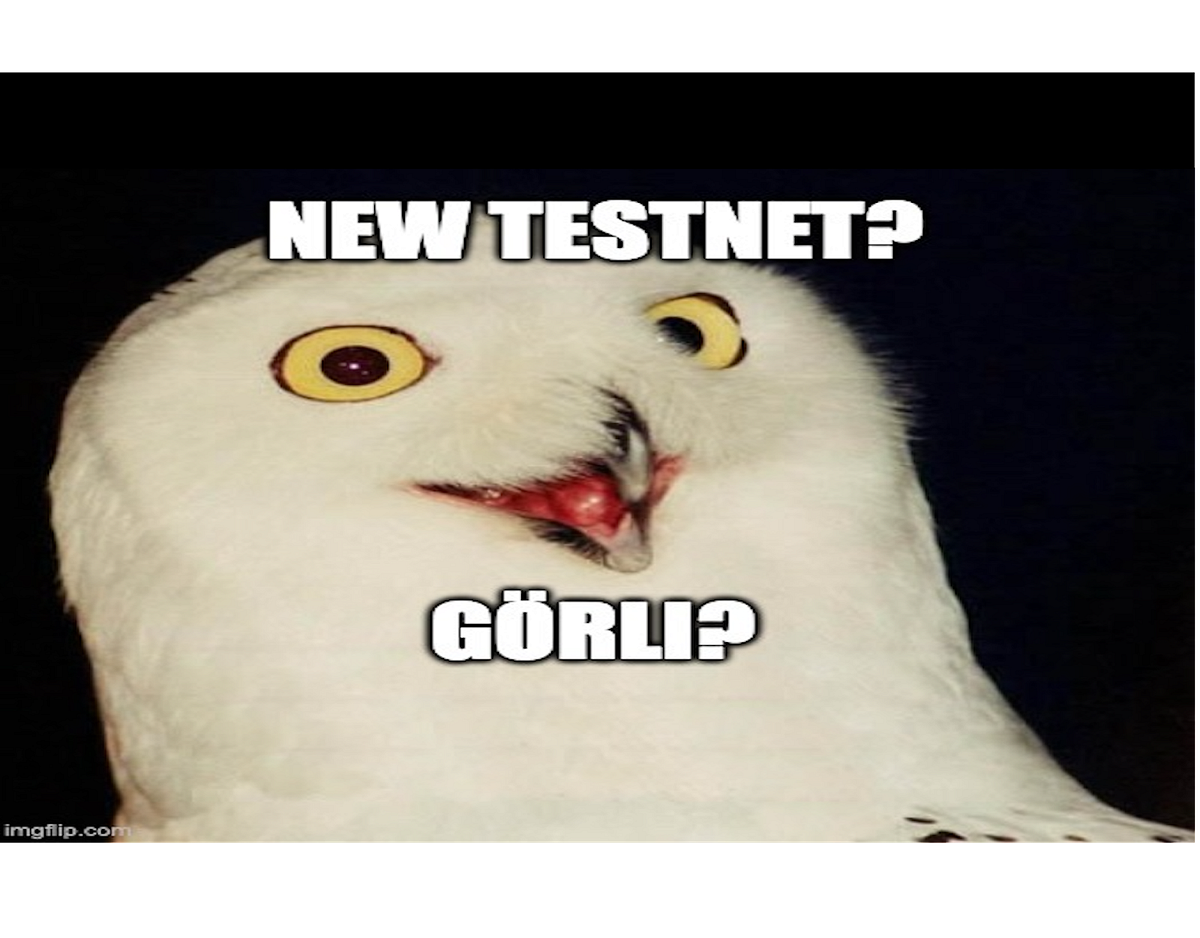 New Görli testnet and getting Rinkeby ready for Nitro | by Offchain ...