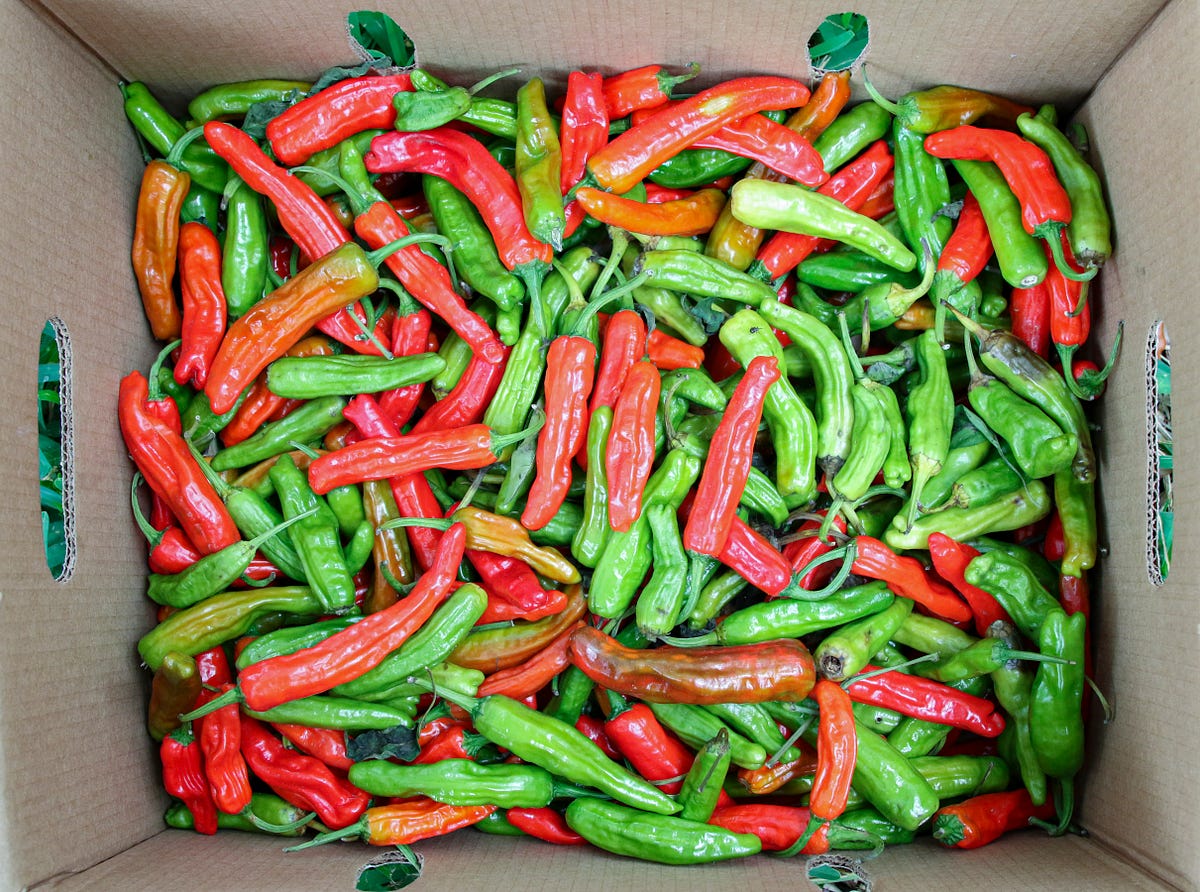You’ve Been Missing Out on This Ultimate Pepper | by Cindy Heath ...