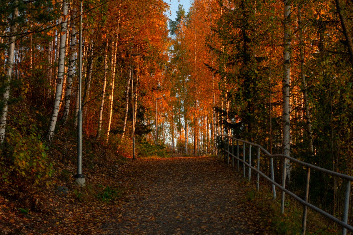 Learn Finnish: Different Verb Types | by Learn Finnish with Nero | Medium