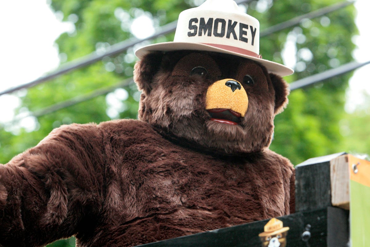 5 Reasons Smokey Bear Is A Fraud. Only you would take advice from a ...