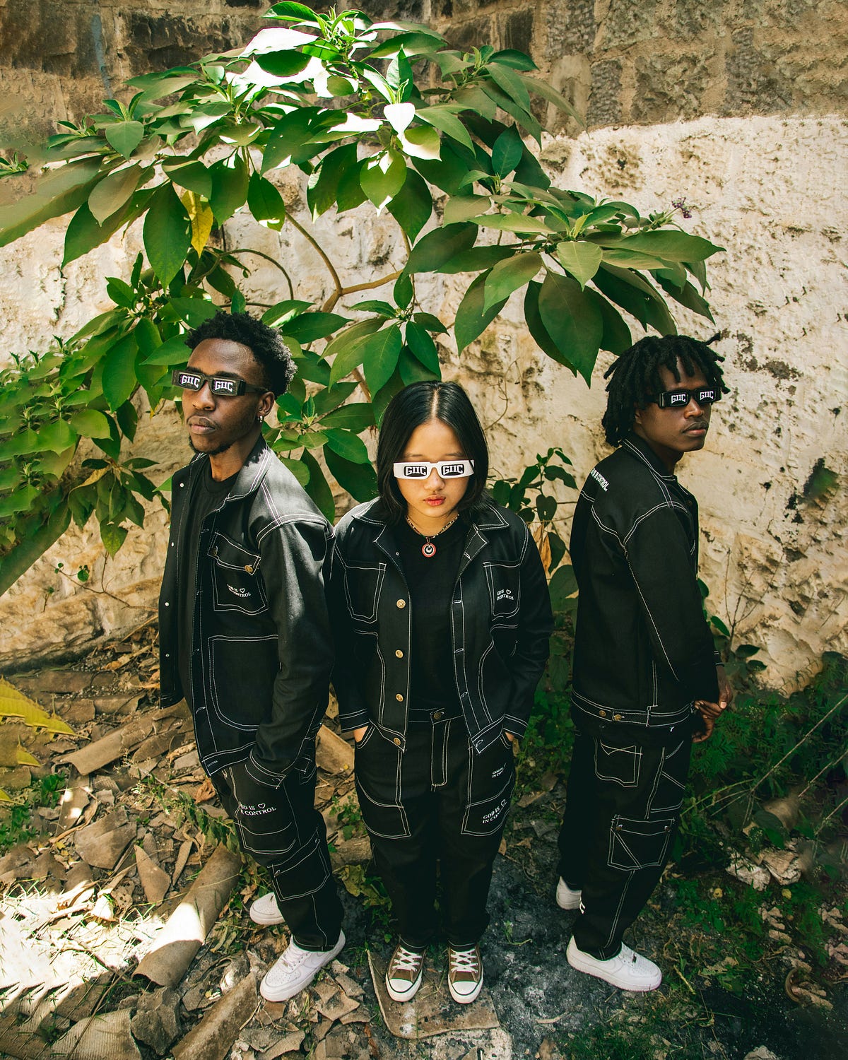 My newest author marketing obsession is way too cool | by Brandon Springer | Dec, 2024 | Medium