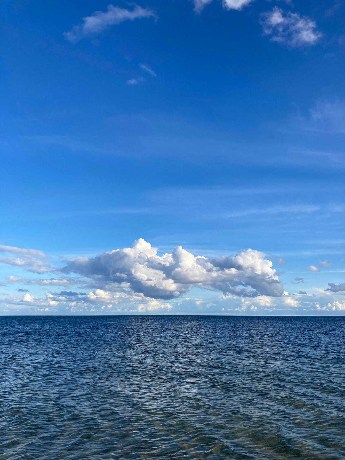 Great Swims I Have Known. From river holes and tropical seas to… | by ...