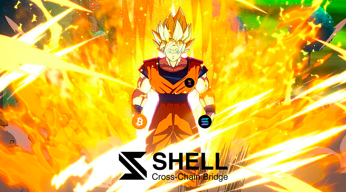 SHELL Fair Launch: $SS20. Launch Overview | by SHELL | Medium