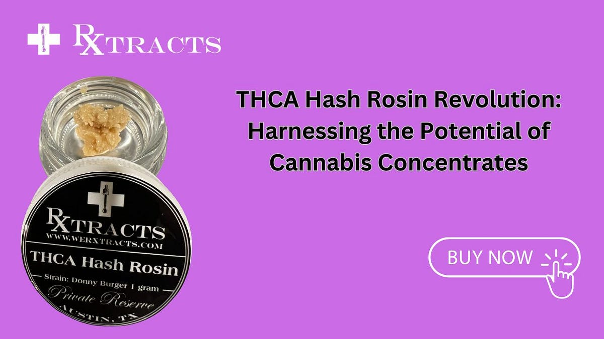 THCA Hash Rosin Revolution: Harnessing the Potential of Cannabis ...