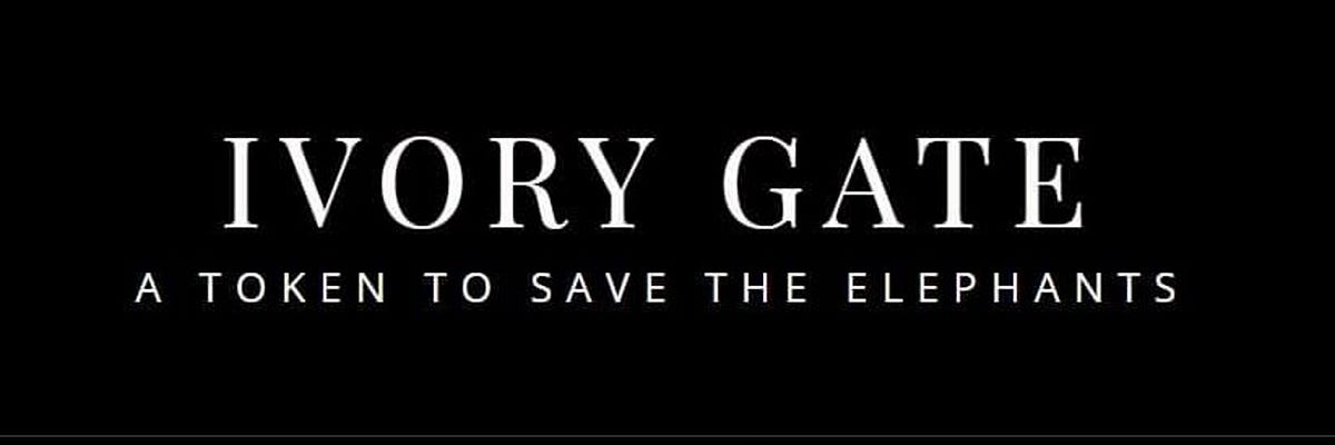 Ivory Gate: A Charitable token to help save the Elephants | by ...