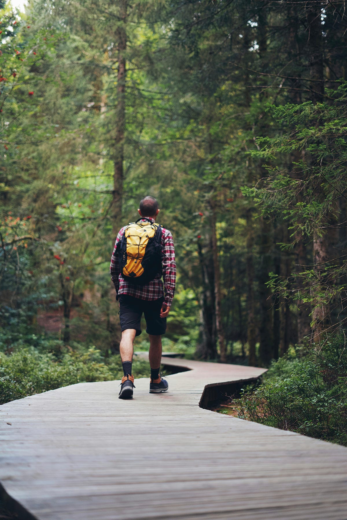 Stuck in your Head? Go for a Walk | by Jennifer the Nerd | Write A ...