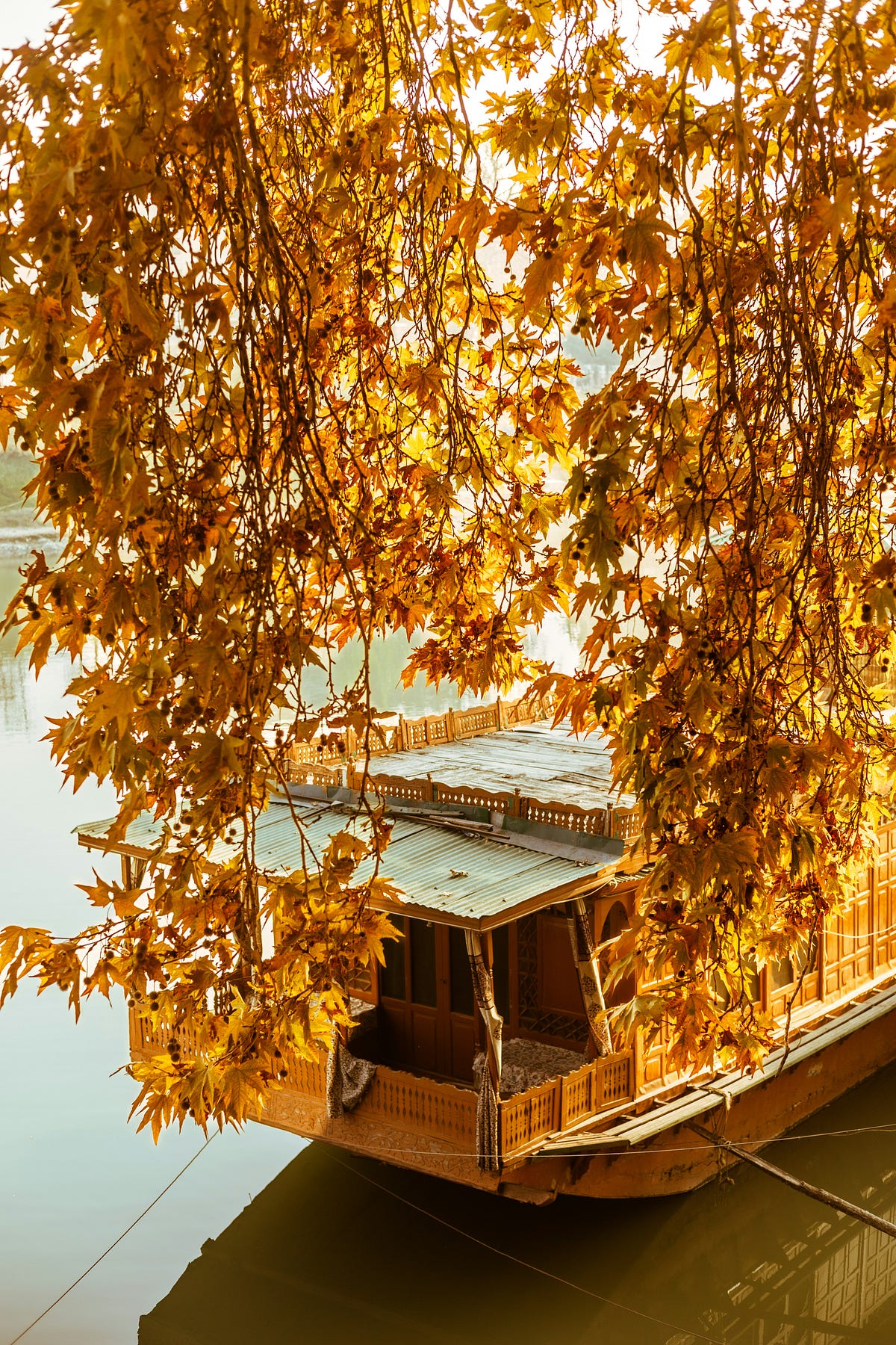 My Travel Diary: Kashmir, Part 2. My experience as a traveler | by Deep Shikha, PhD | Apr, 2025 ...