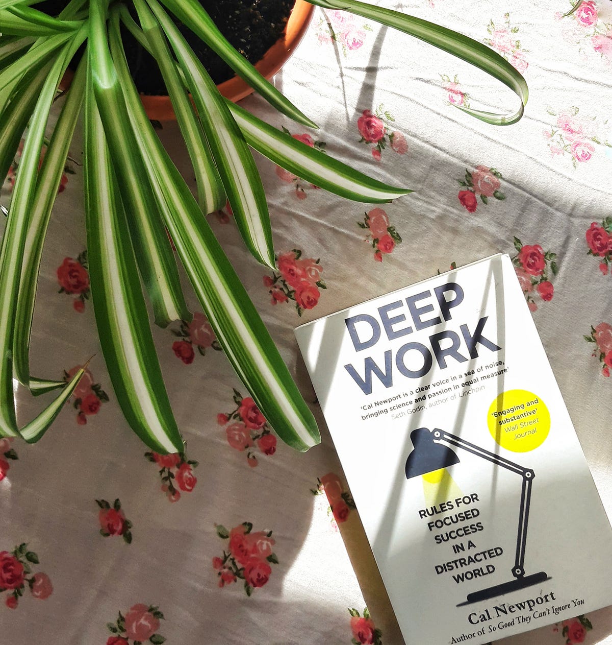 DEEP WORK-Book Review. “Unleashing Your Productivity and… | by Shreeraj ...