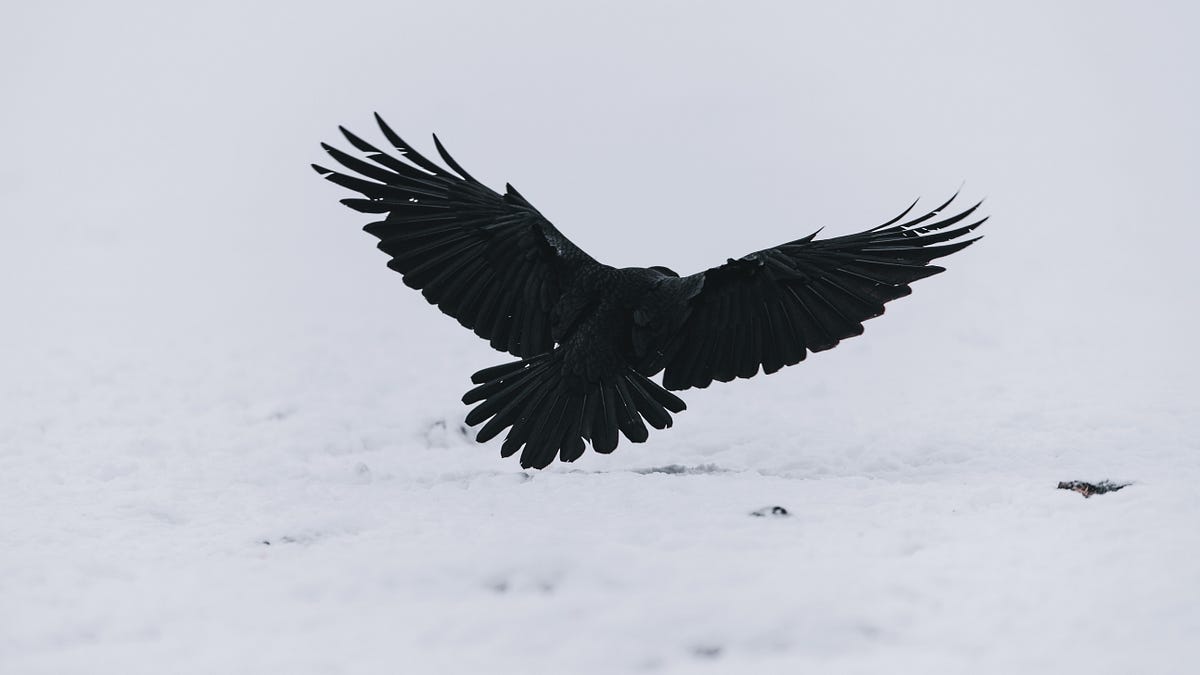 Review: The Raven Spell by Luanne G. Smith | by Jennifer R. Povey ...