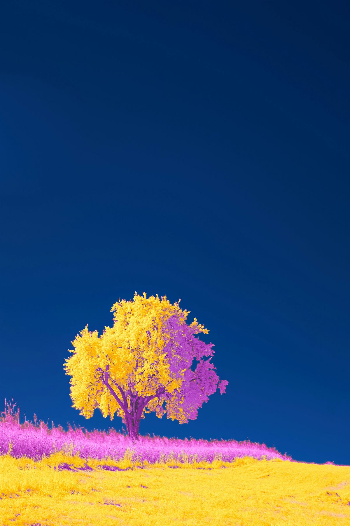 The Deepest Dive into CSS accent-color—and Why I Can’t Stop Using It ...
