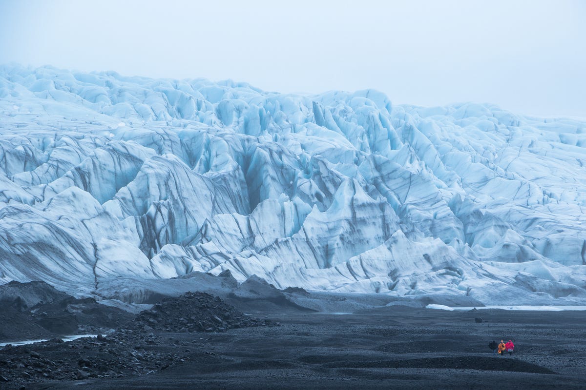 Your Daily Science: The Rapid And Devastating Decline Of Earth’s ...