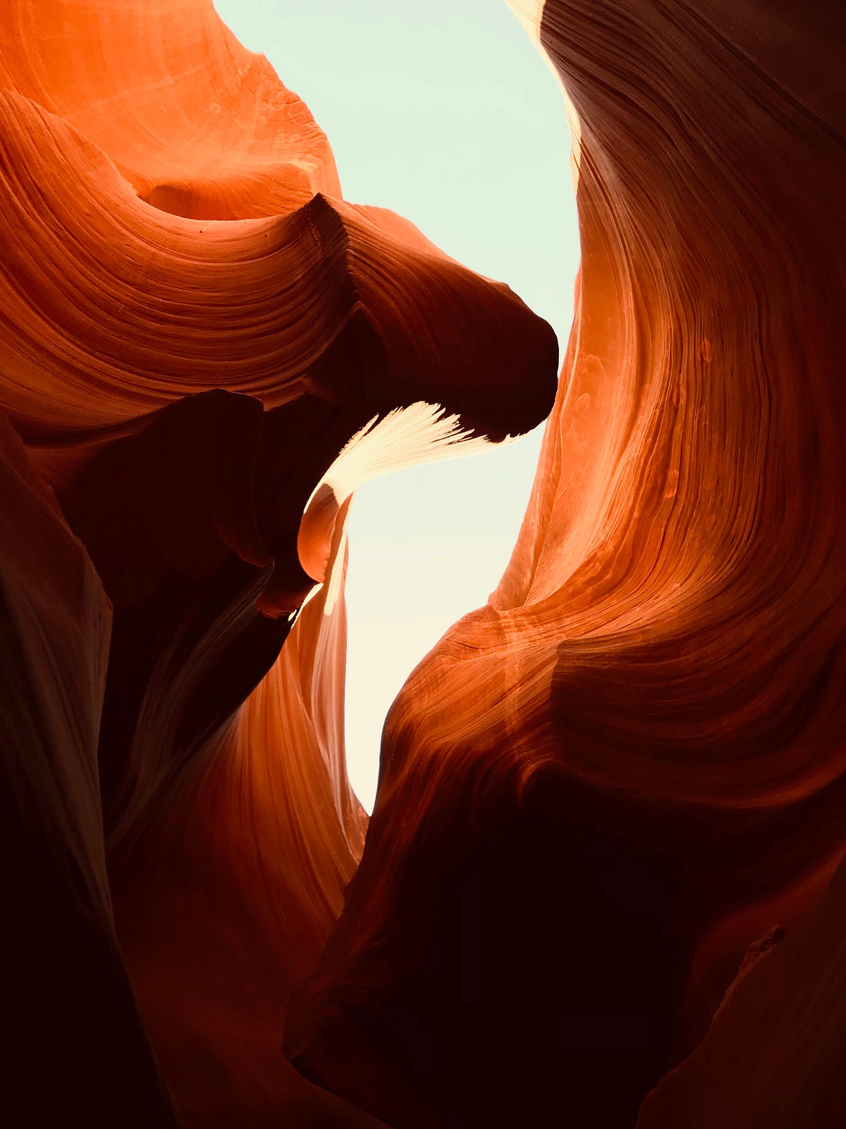 A Gradual Disaster. A butterfly cinquain form poem. | by Emily Gibson ...