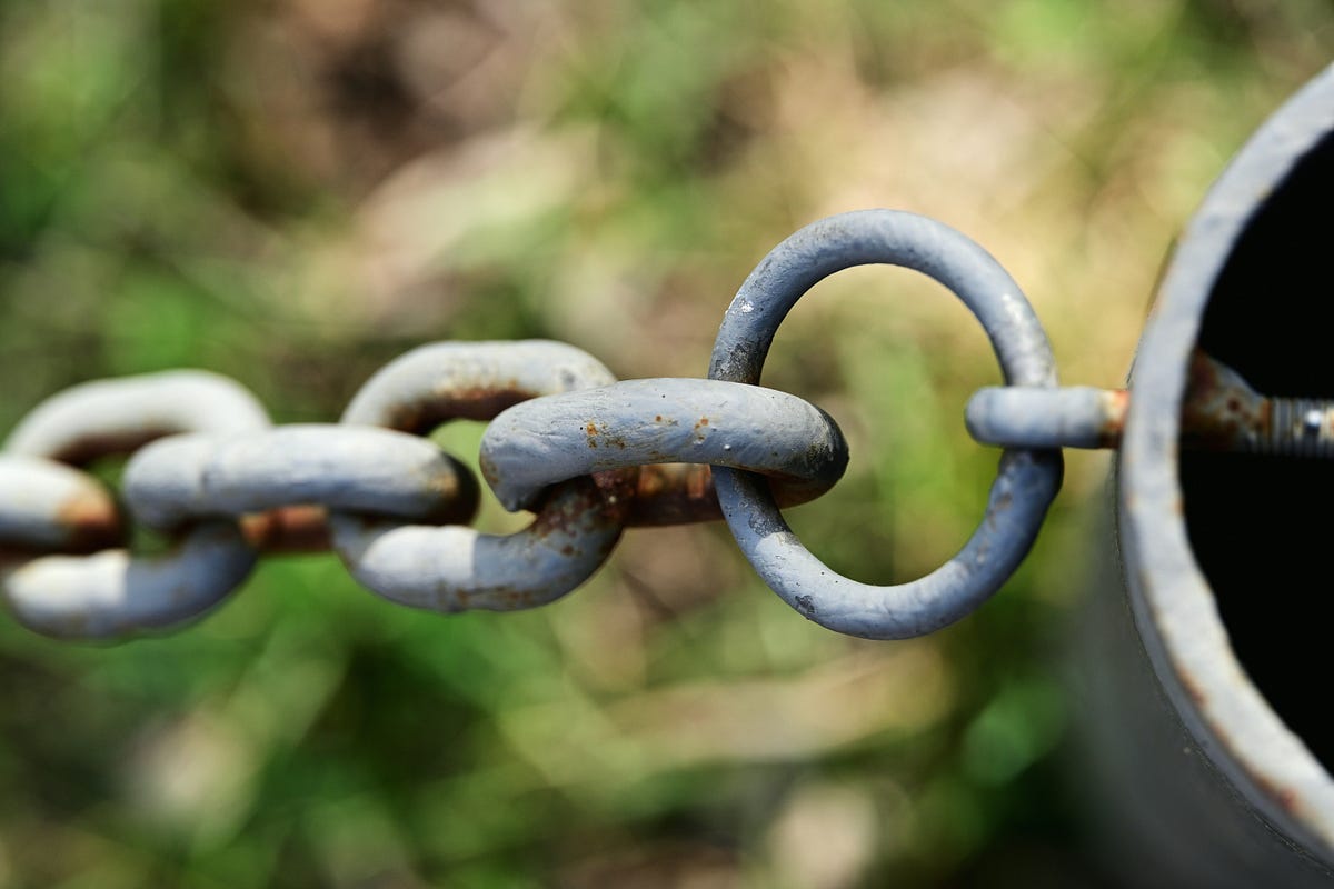Unlocking the Power of Business Objects in Workday Reporting | by Alok ...