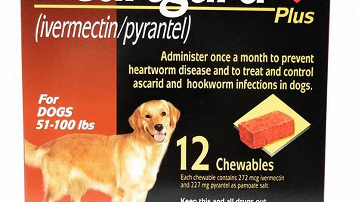 Unveiling the Ultimate Heartworm Defense: Discover the Best Medicine ...