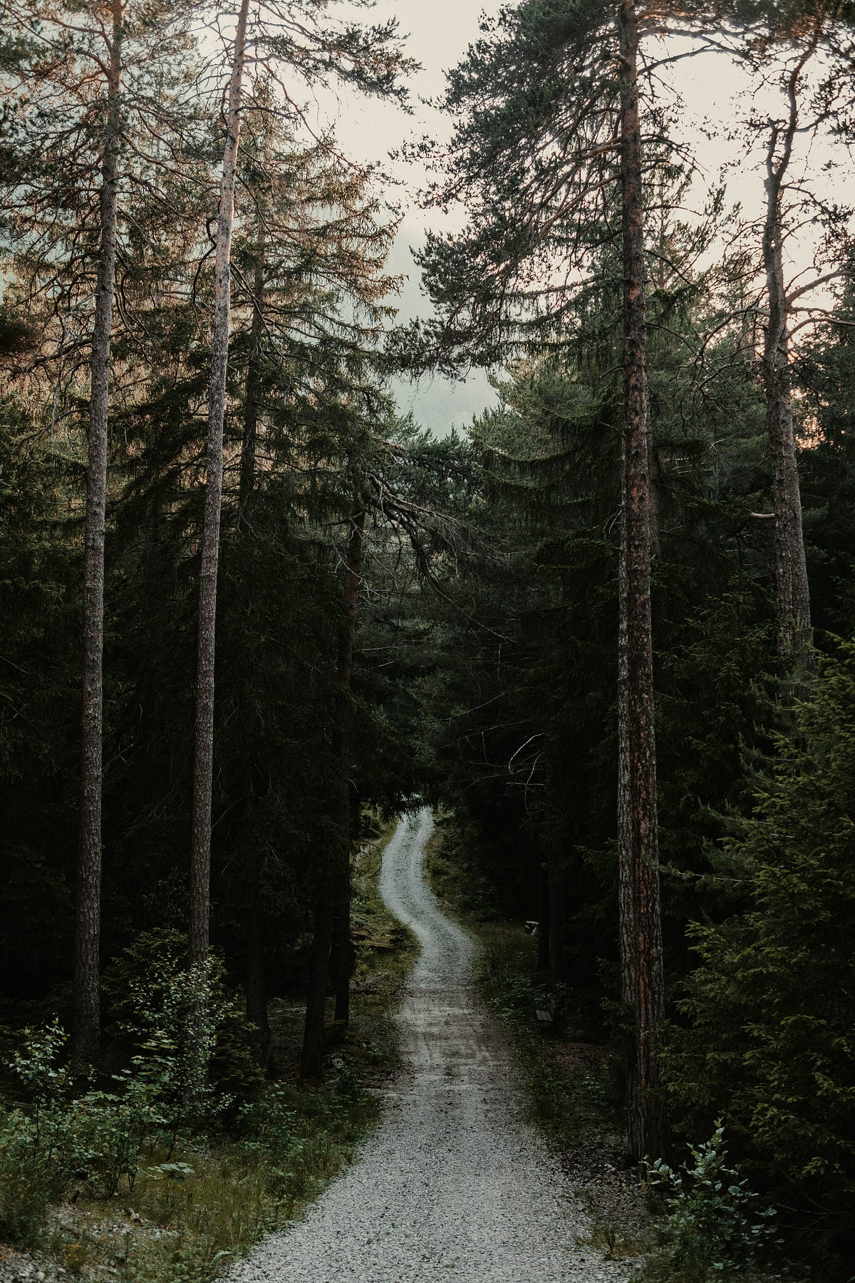 Crafting Your Destiny. A Deep Dive into the Life-Altering… | by Duru Judith | Medium