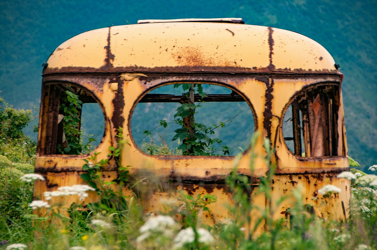 Urbanophobia. (a prose poem about nature, urbanism… | by Heleili ...
