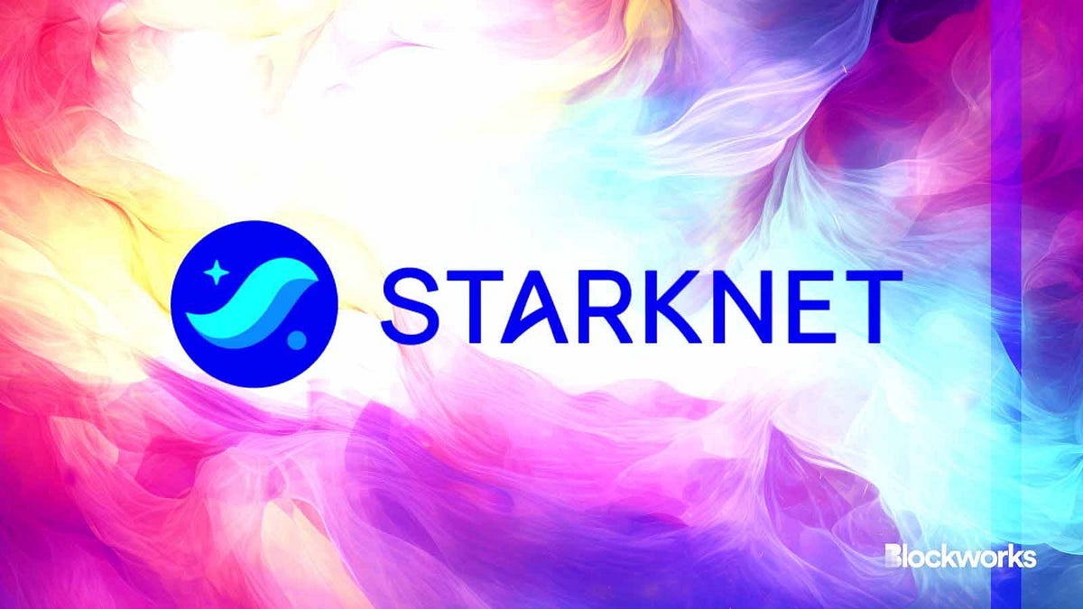 Digifinex Labs: Starknet Foundation Teases STRK Token Airdrop | by Silasaureliso | Dec, 2023 ...