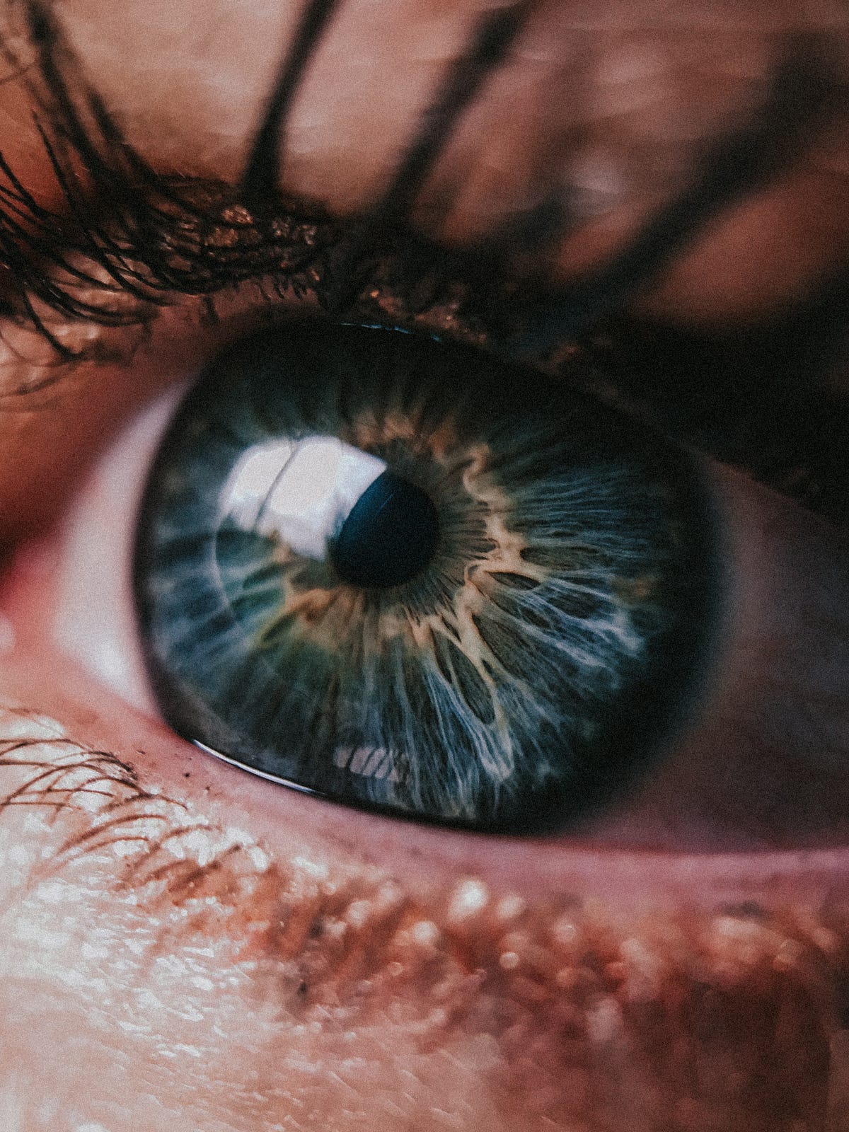 The Best and Worst Habits for Eyesight: A Guide to Maintaining Healthy ...