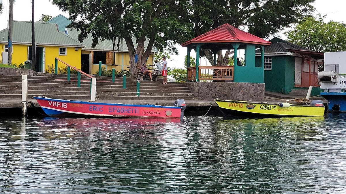 A Magical Journey. The Indian River Tour Experience | by Kurell Vidal | Mar, 2024 | Medium