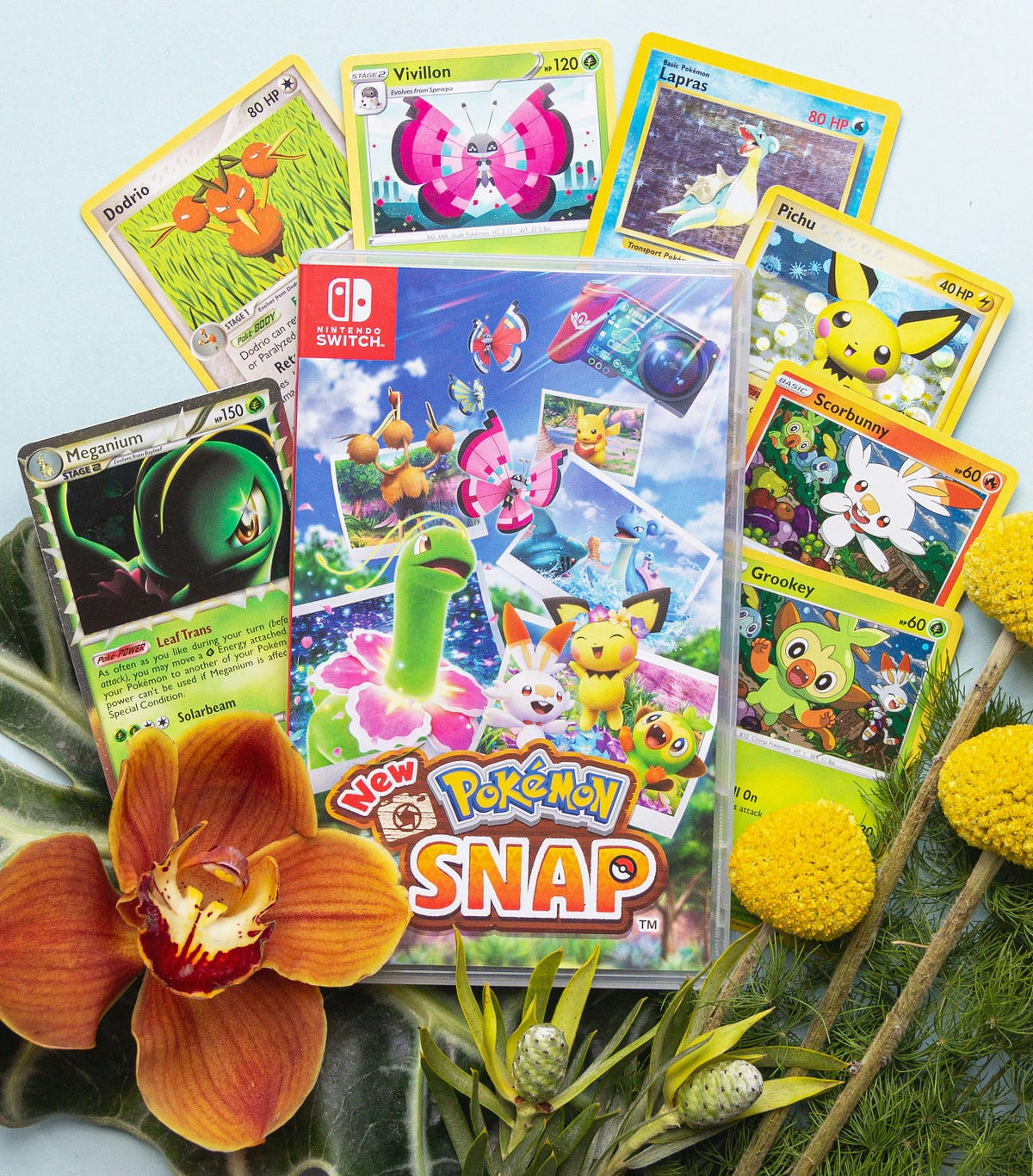 An Epic Dive into the World of Pokémon: Discover the Thrills ...