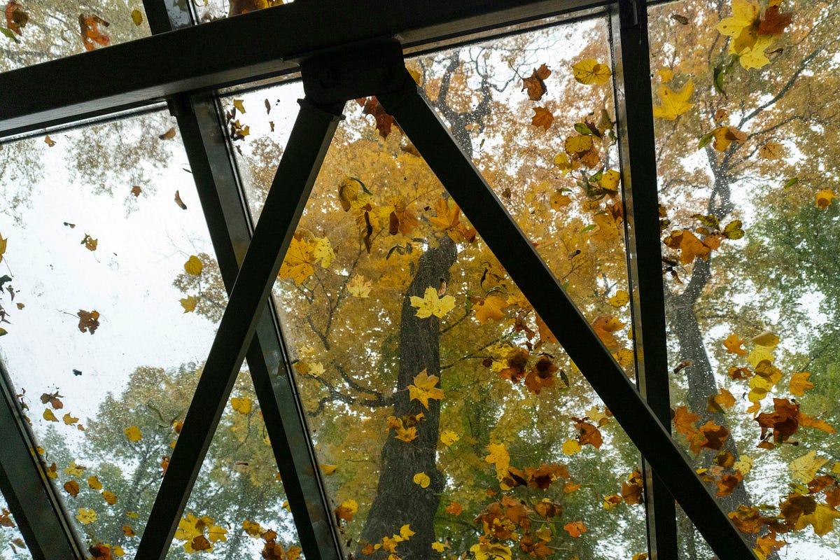 The Unsaid Goodbye. For anyone still holding words they… | by Iqra ...