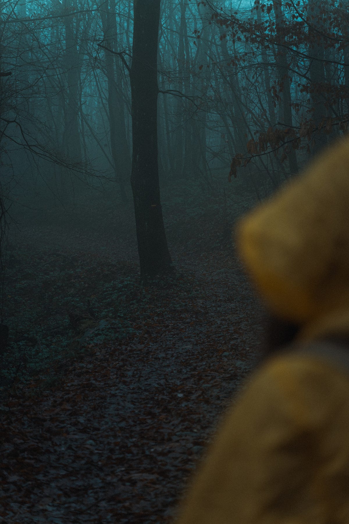 What Became of Alice M. Corbett? | CrimeBeat