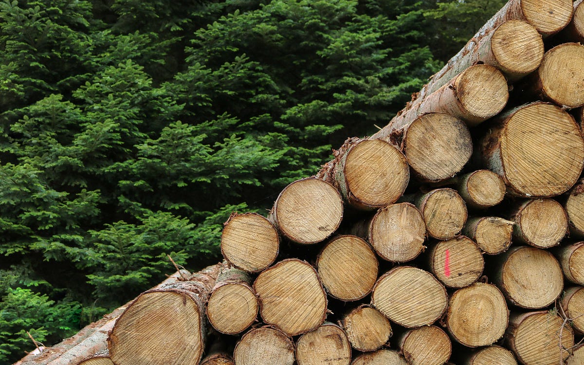 View Your Logs In Colour. Browsing logs doesn’t have to be like… | by ...