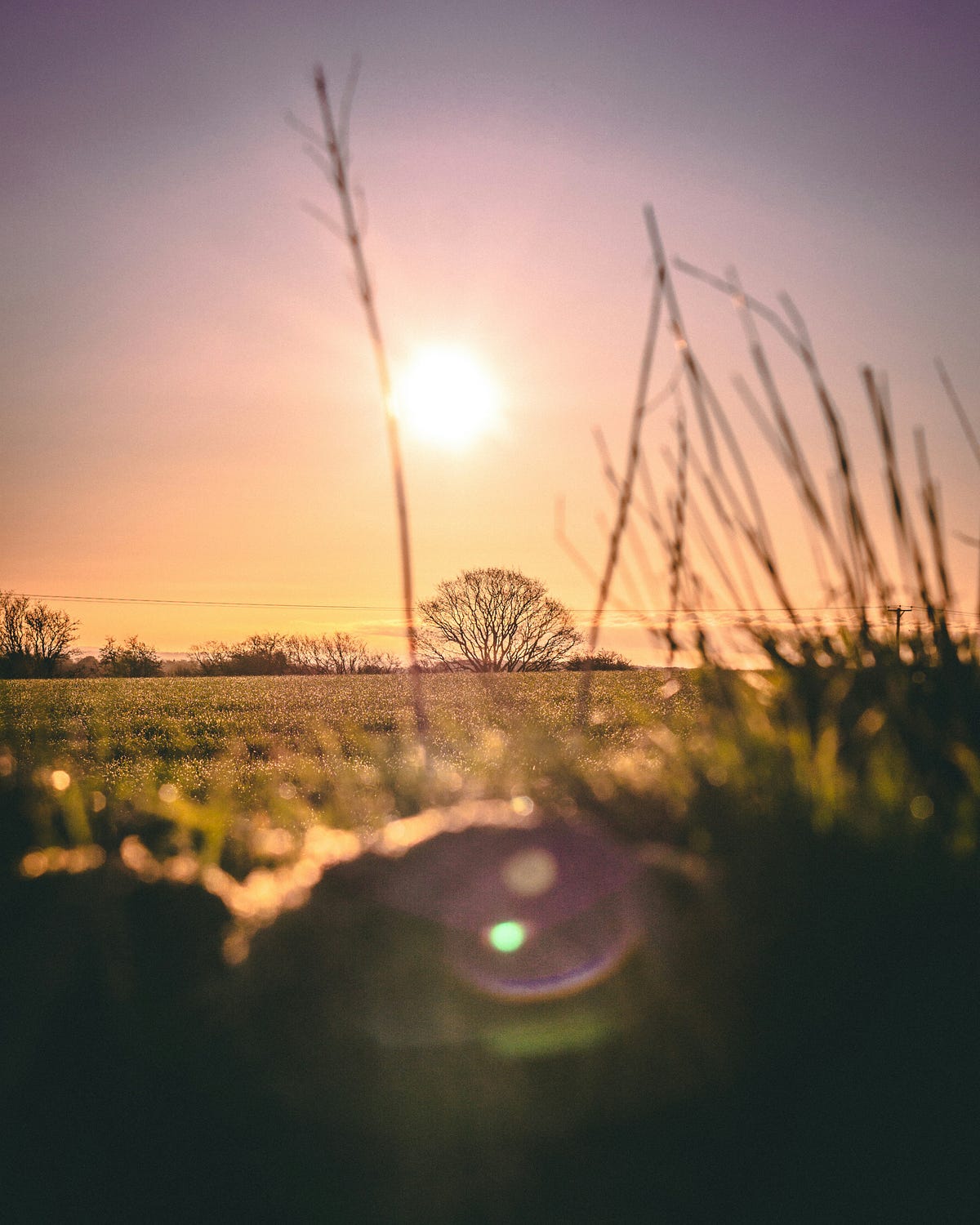 Rise and Shine Morning sun, wake-up call Get up early, stand tall New ...