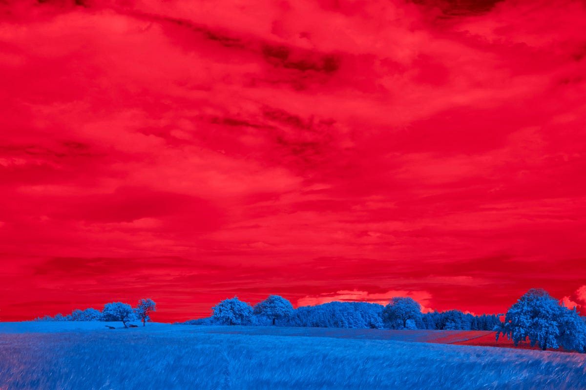Red. an overreaction | by Thomas James | The Crooked Circle | Nov, 2024 ...