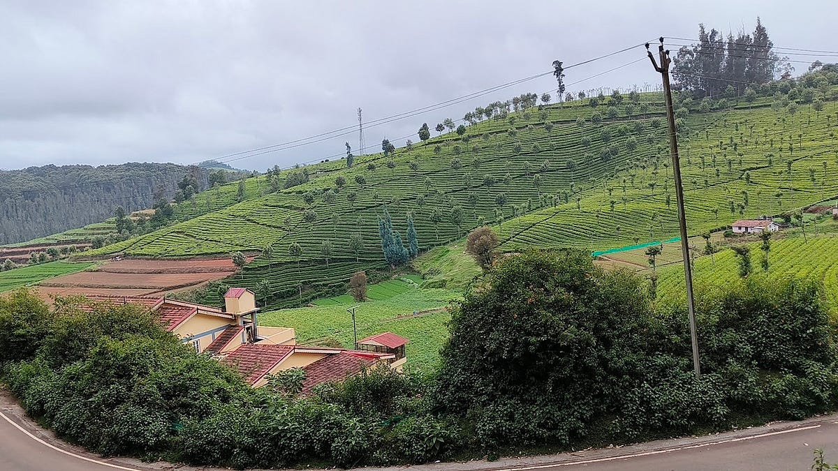 Nilgiri Railway: A Heritage Train Journey | Readers Club