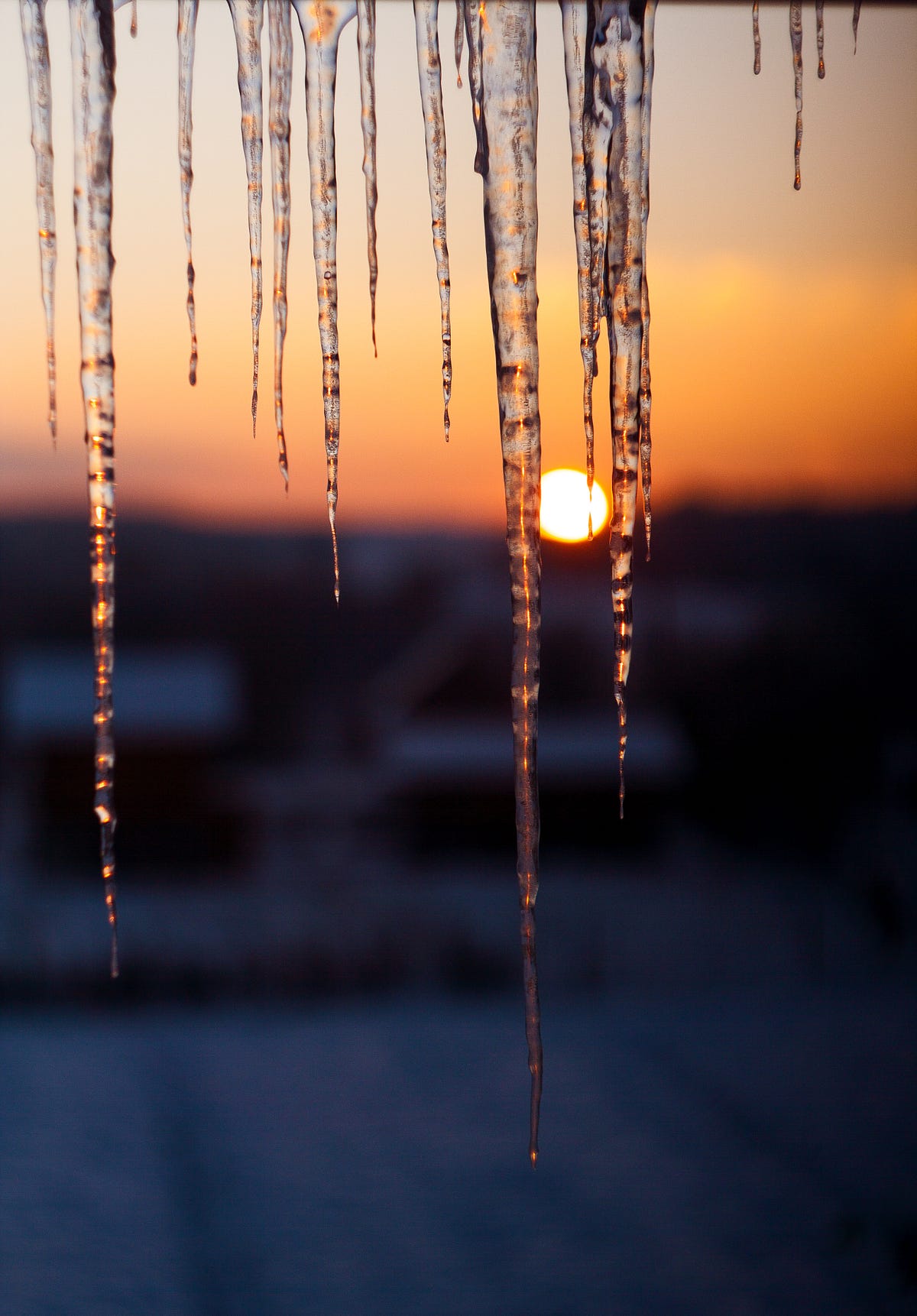 There Will Be No Snow This Year. A Poem for a Place in Time | by Jesse Matthew | Scuzzbucket ...