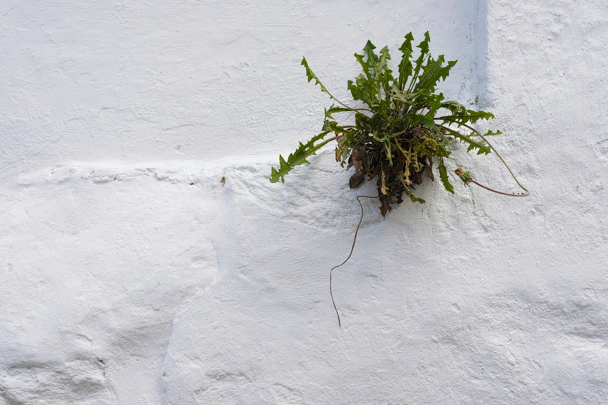 Why Productivity Feels Like Moving through Wet Concrete | by Hugo Pan ...