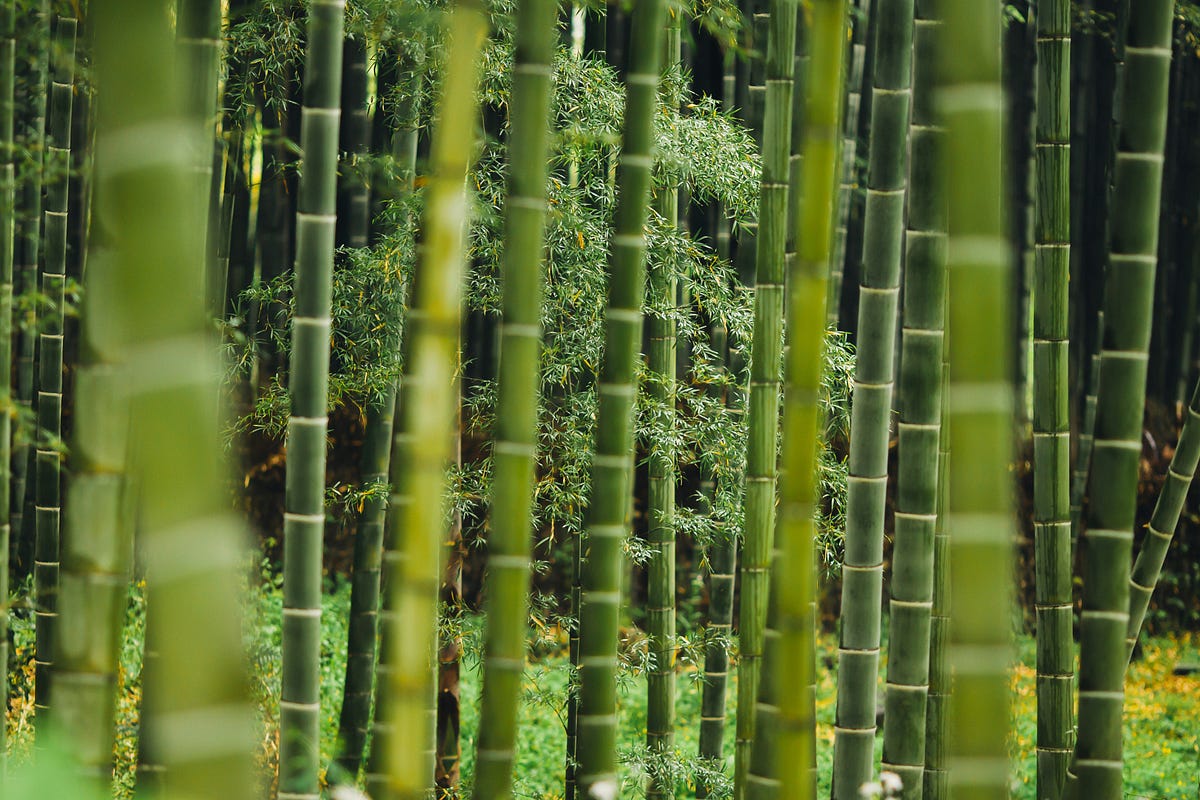 Bamboo Ephemeral Agents on Red Hat OpenShift | by Alp Alpant | Medium