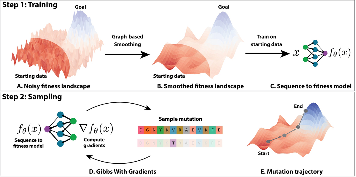 Protein Engineering Gets a Boost: New Model Predicts Optimal Protein ...