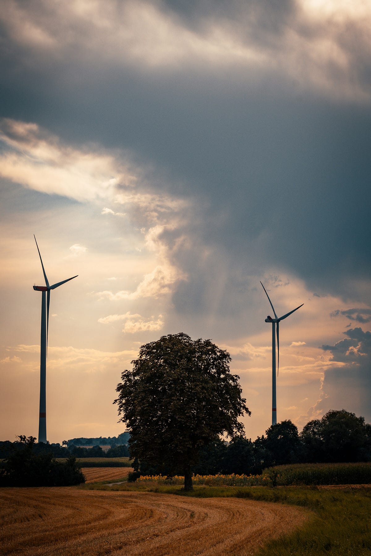 The Day the Wind Stopped Blowing. What if nature decided to take a ...