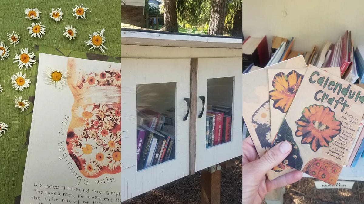 Letting Chance Decide the Path of my Publications | by Chloe ~ Calendula Craft | Share Your ...