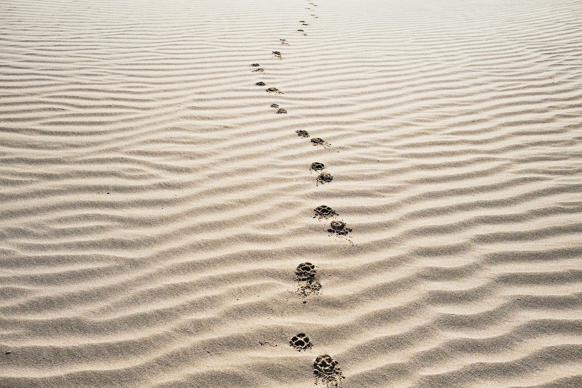 You Can’t Ghost Me If I Was Already Done: Detachment Is My Love Language | by Empathic Avenger ...