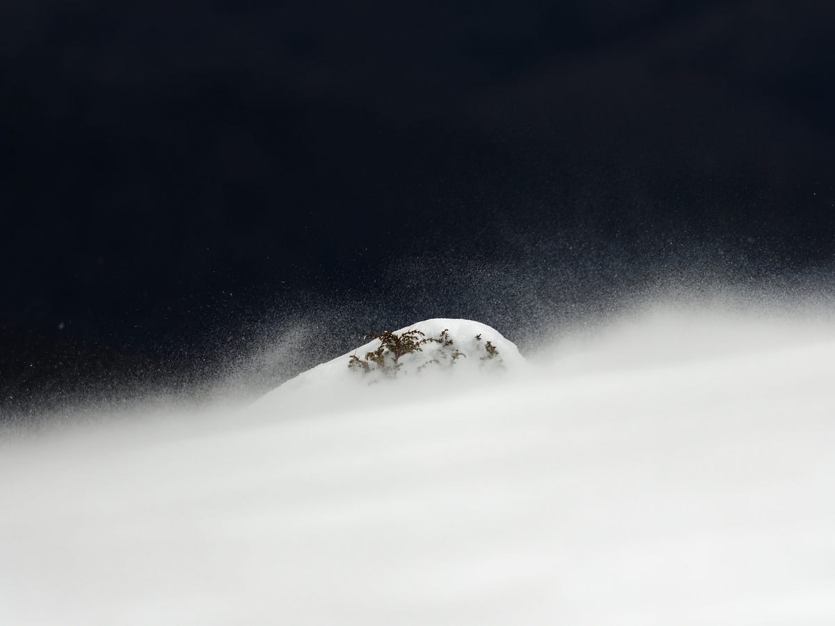 [BOJ] 21611번: 마법사 상어와 블리자드. 이 문제는 요구된 조건이 복잡합니다. 이를 하나하나 직접 구현하면… | by Quokkaman | Medium