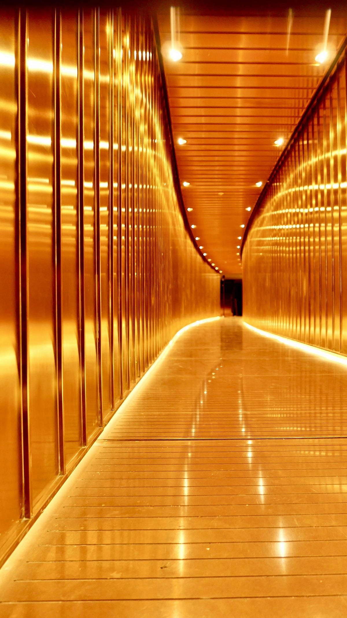 Your Data Is Gold: A Modern Guide to Protecting Your Digital Identity ...