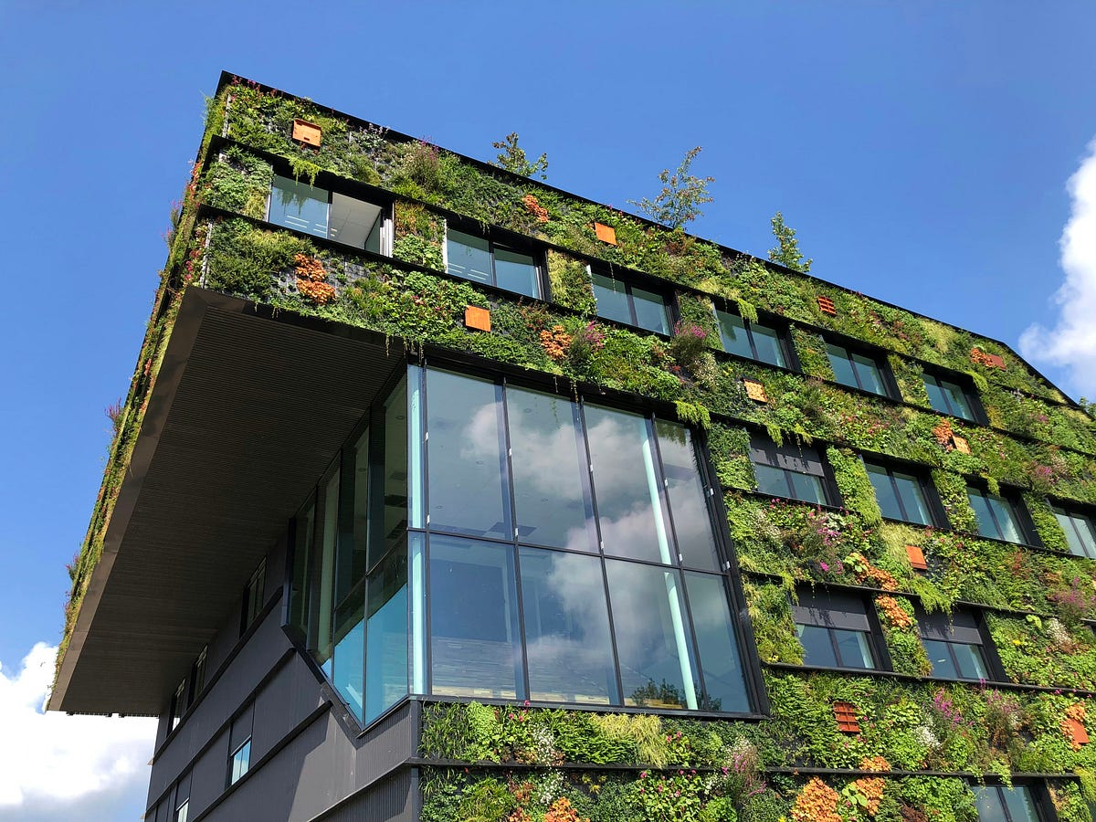 Sustainable by Design: The Heart of Green Building Concept | by Shruti Semwal | May, 2025 | Medium
