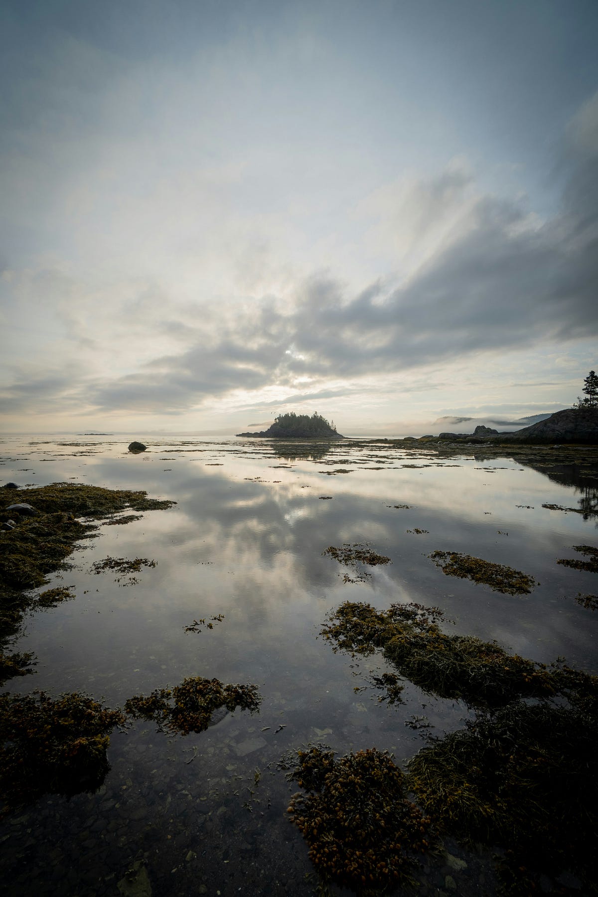 What projects can give you 30k month job? | by AI With Lil Bro | Write ...