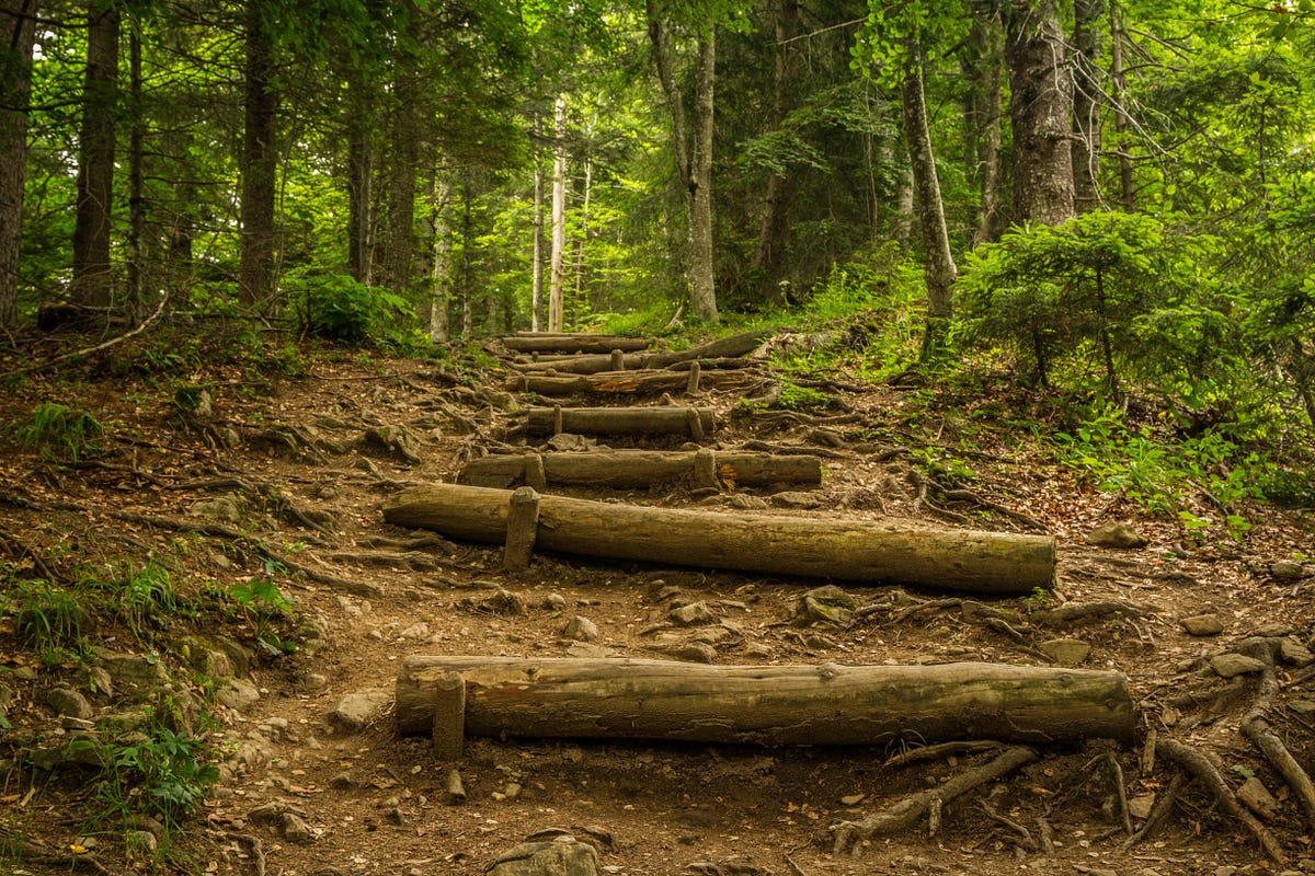 The Path is made of Overcoming. What can we build for our future? | by ...