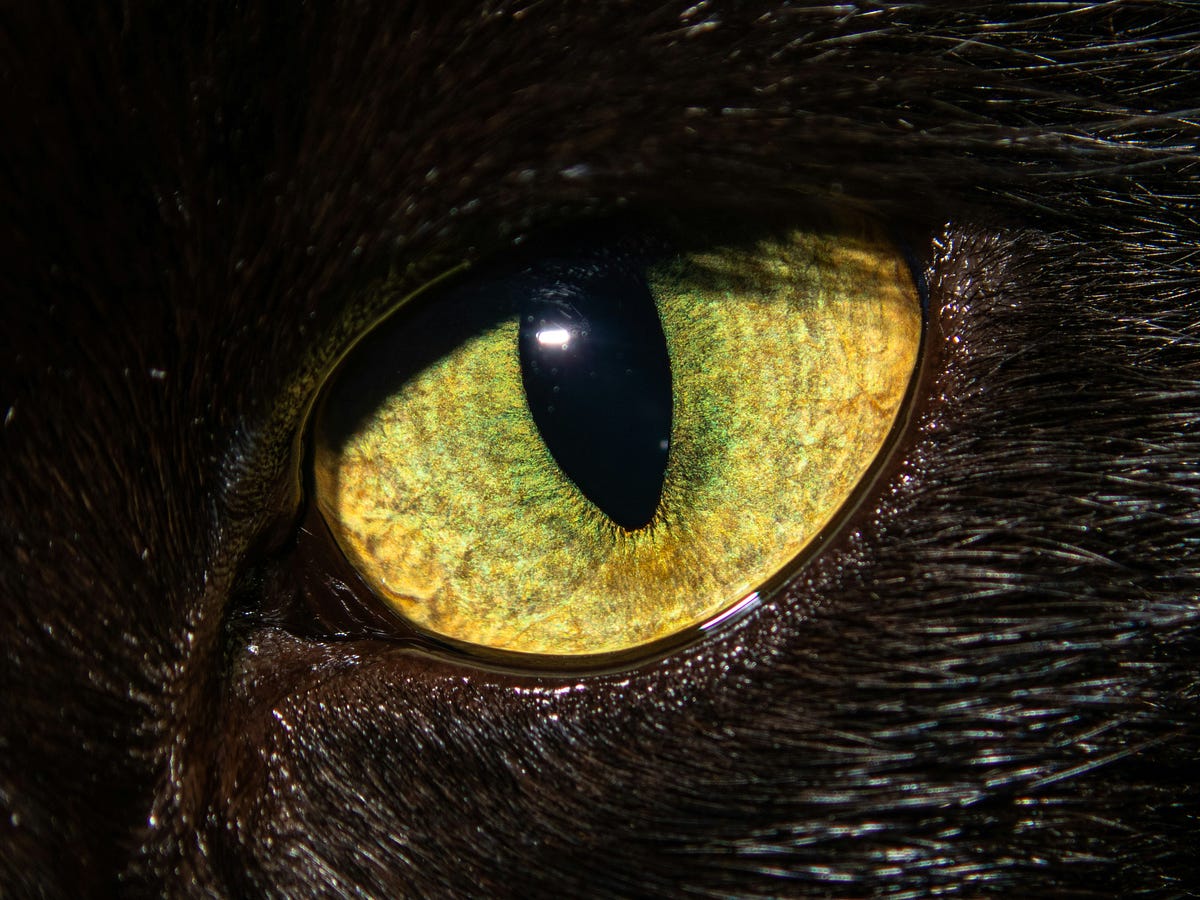 Just a Minute Devotional #59. Staring the devil right in the eye | by Jenny Calvert | Koinonia ...