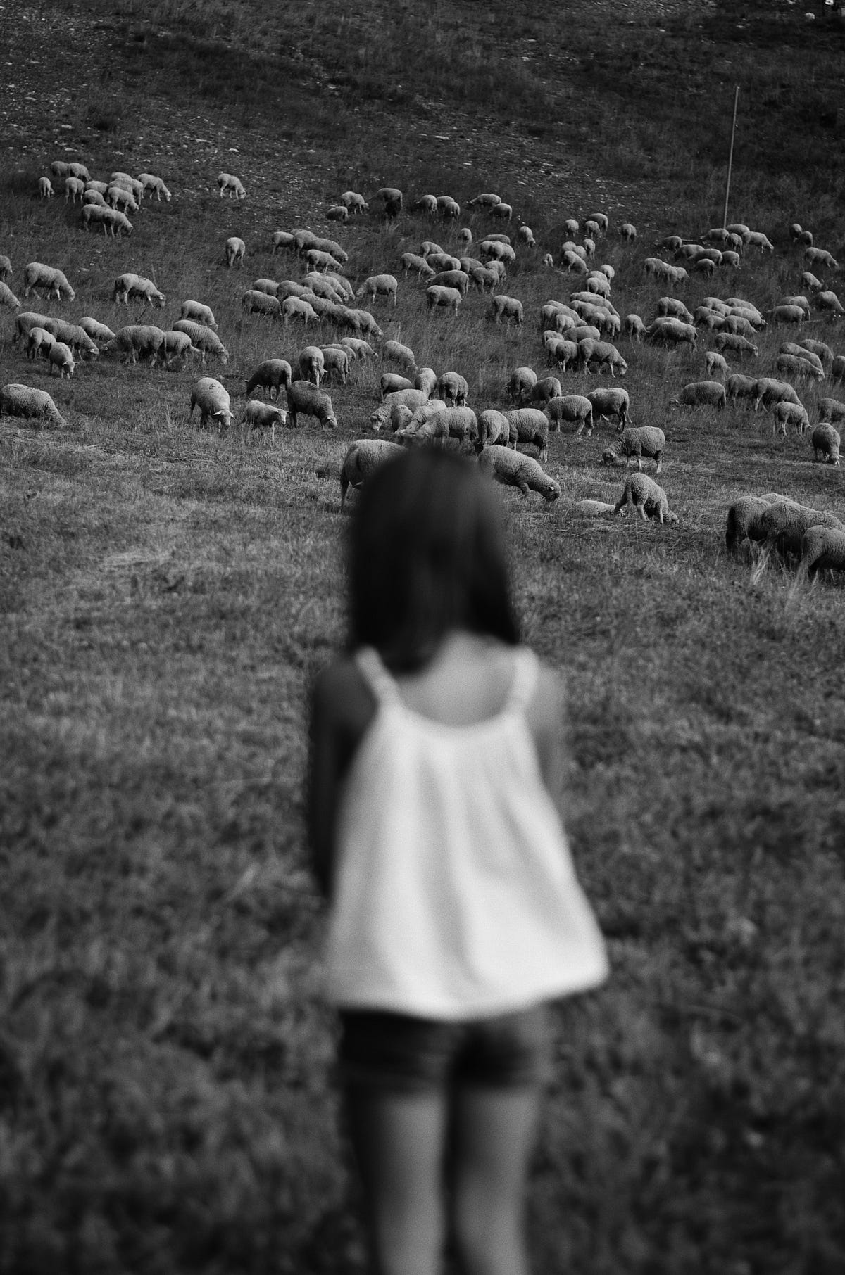The Last-born Daughter in a Family of First-borns | by Sekar Bestari ...