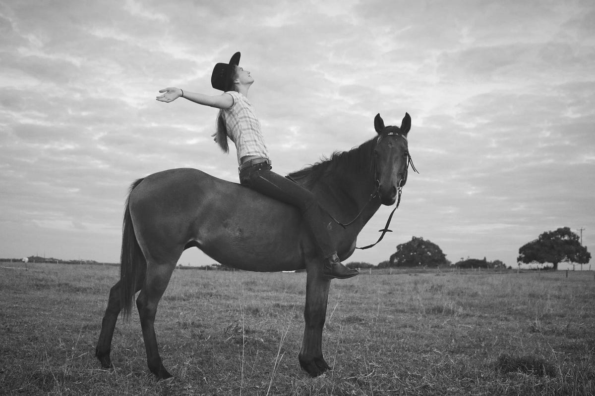 Social Skills for Horse People. How to Act Normal Around Non-Horsey ...