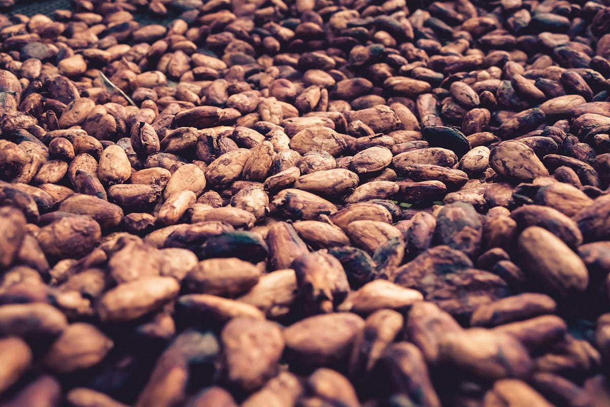 Agriculture News —Global Cocoa Prices Just Hit the $10,000 Mark for the First Time in History ...