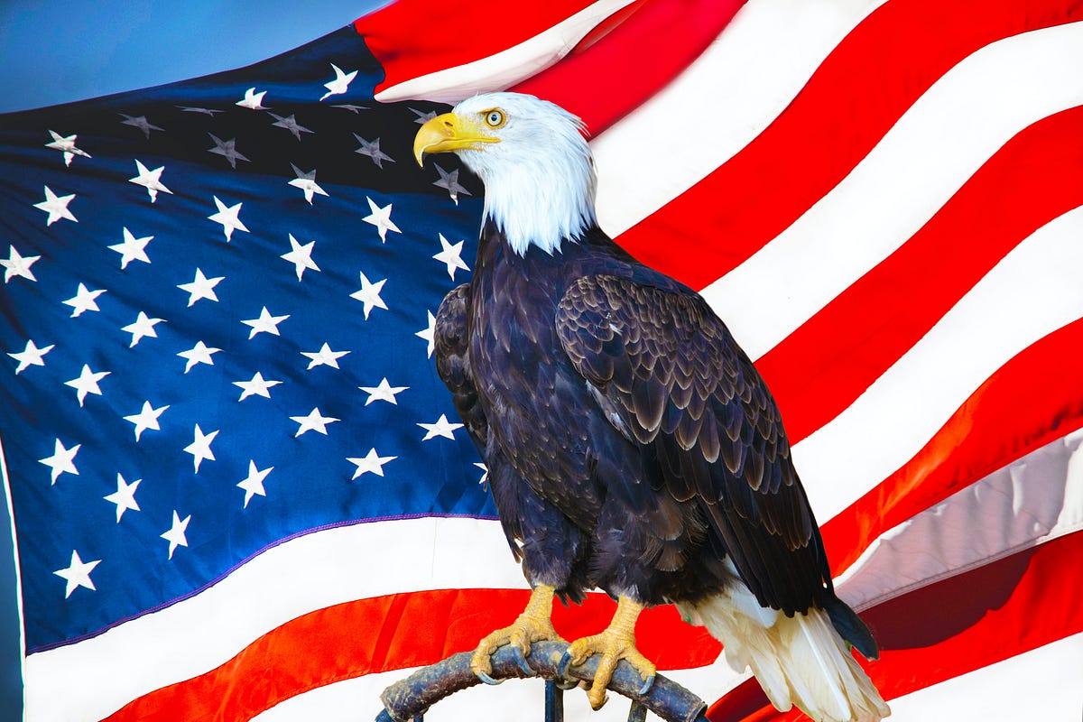 Fake Freedom. The people who most loudly claim to… | by Carolyn ...