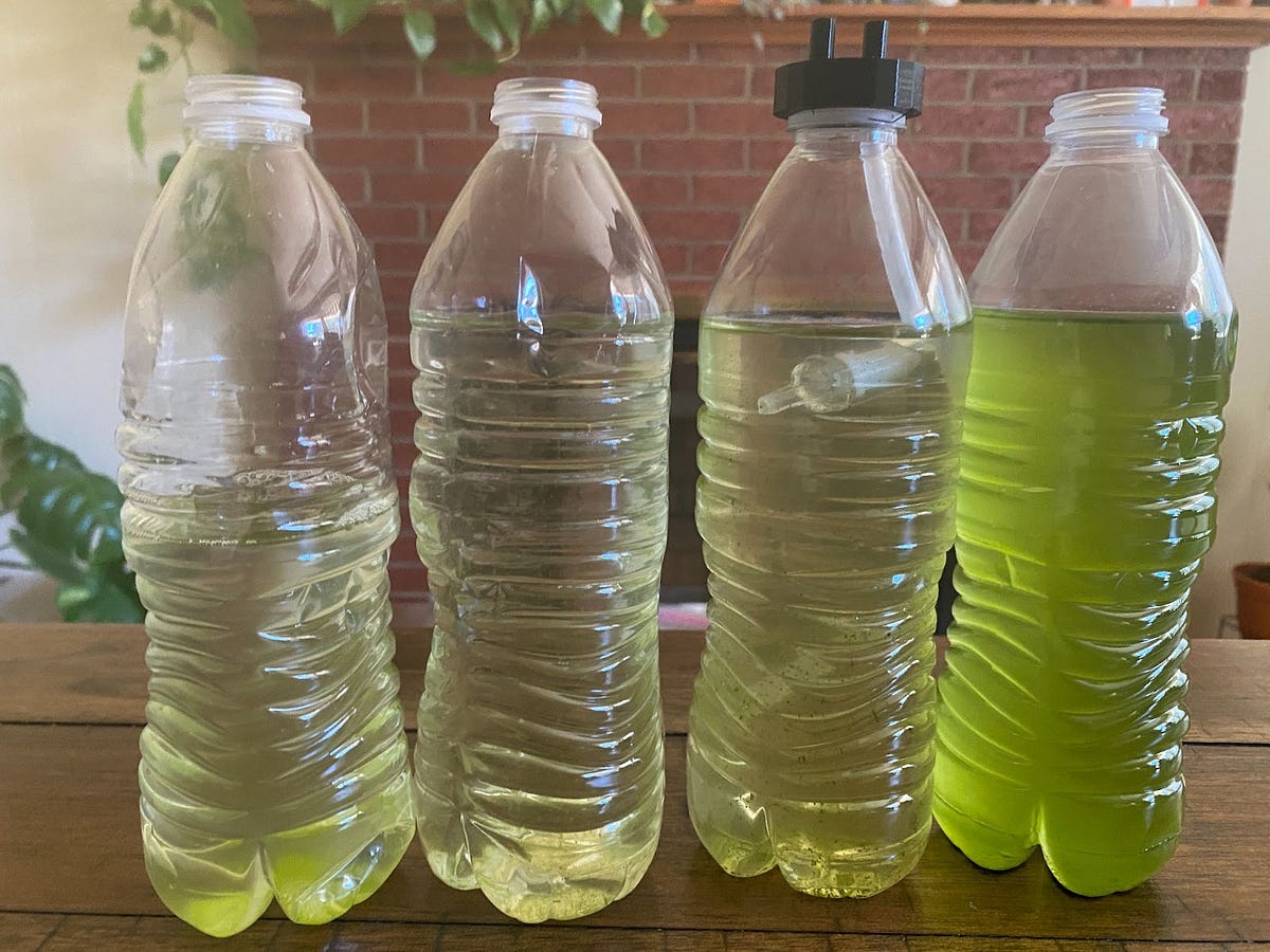 Algae Carbon Capture Tracking Methodology | by Nick Sokol, PhD | Medium