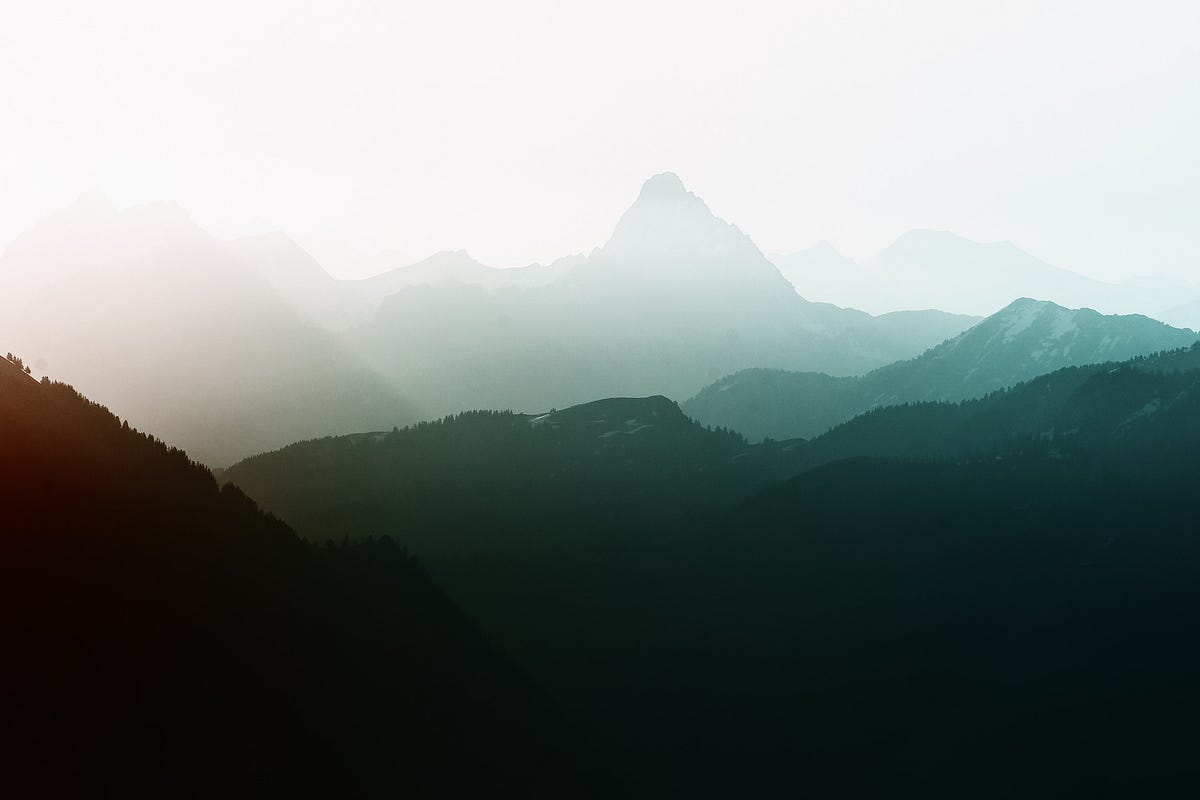 Is Medium Dead?. Maybe…or maybe not. | by Juniper | Medium